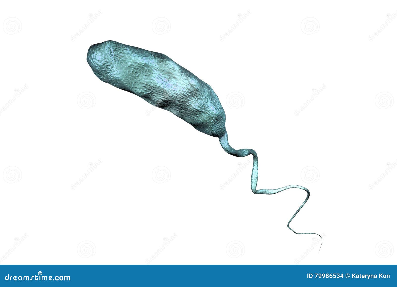 Bacteria De Los Cholerae Del Vibrión Stock de ilustración - Ilustración ...