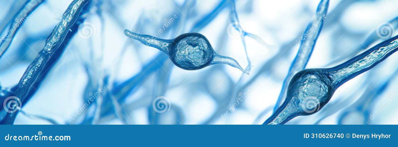 Bacteria, Diseases, Viruses, Micro and Macro Organisms Under the ...