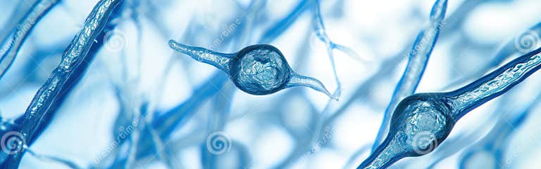 Bacteria, Diseases, Viruses, Micro and Macro Organisms Under the ...