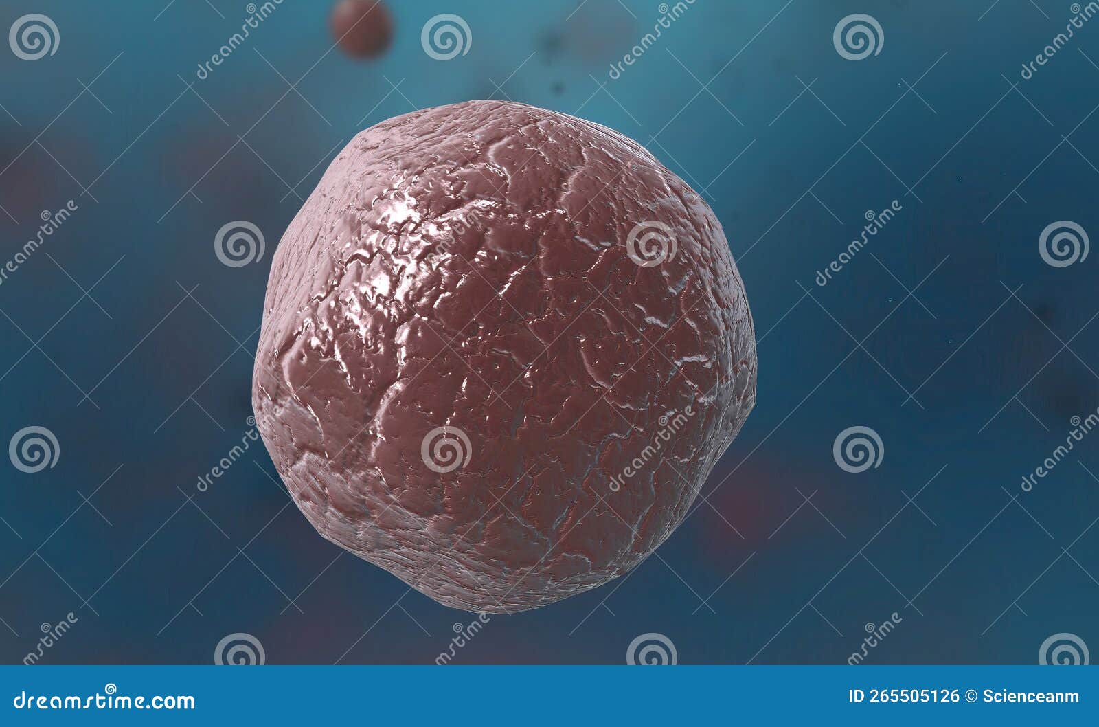 A Cocci are Any Bacteria or Archaeon that Have a Spherical, Oval, or Generally Round Shape Stock ...