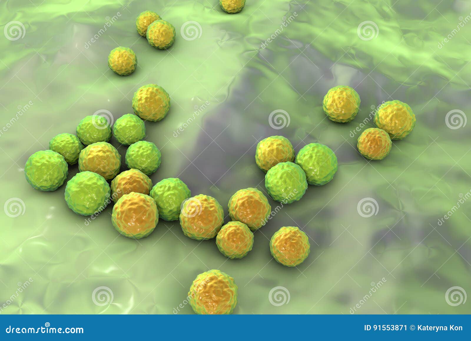 Bacteria Enterococcus, Illustration Stock Illustration - Illustration ...