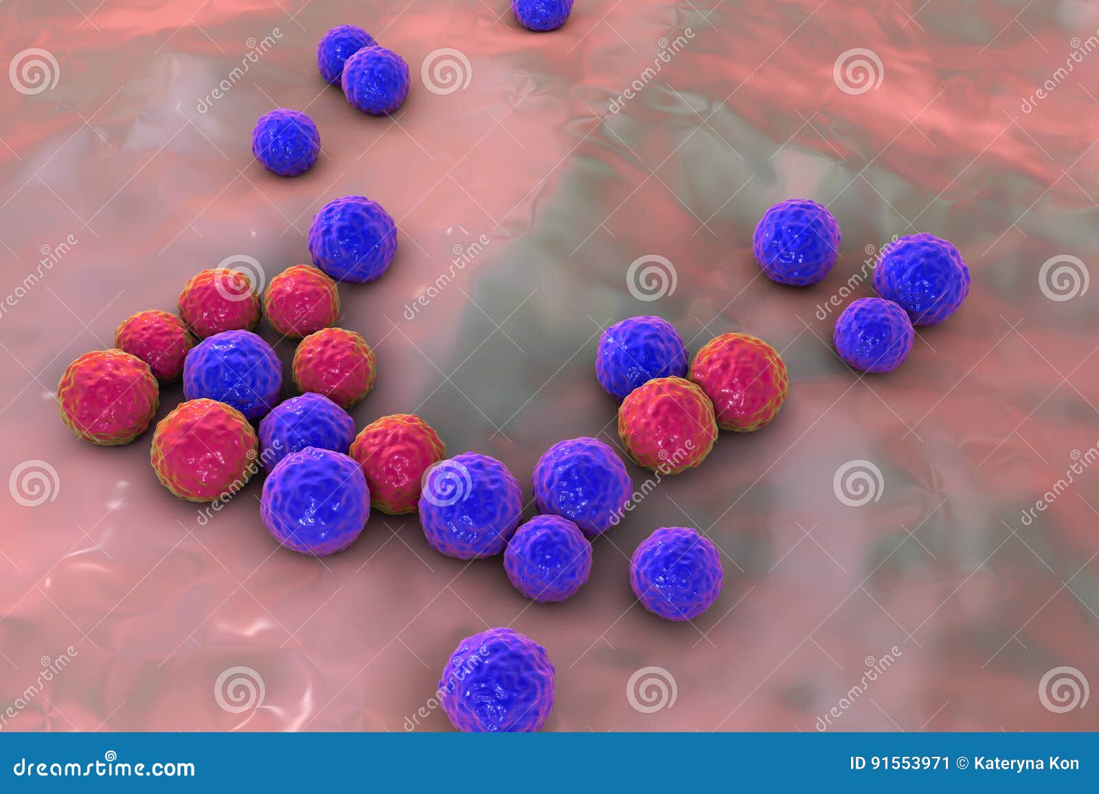 Bacteria Enterococcus, Illustration Stock Illustration - Illustration ...