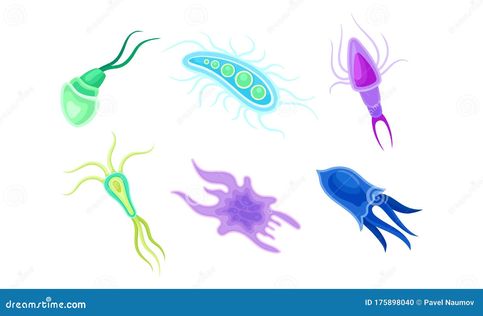 Bacteria and Germs of Different Shapes Isolated on White Background ...