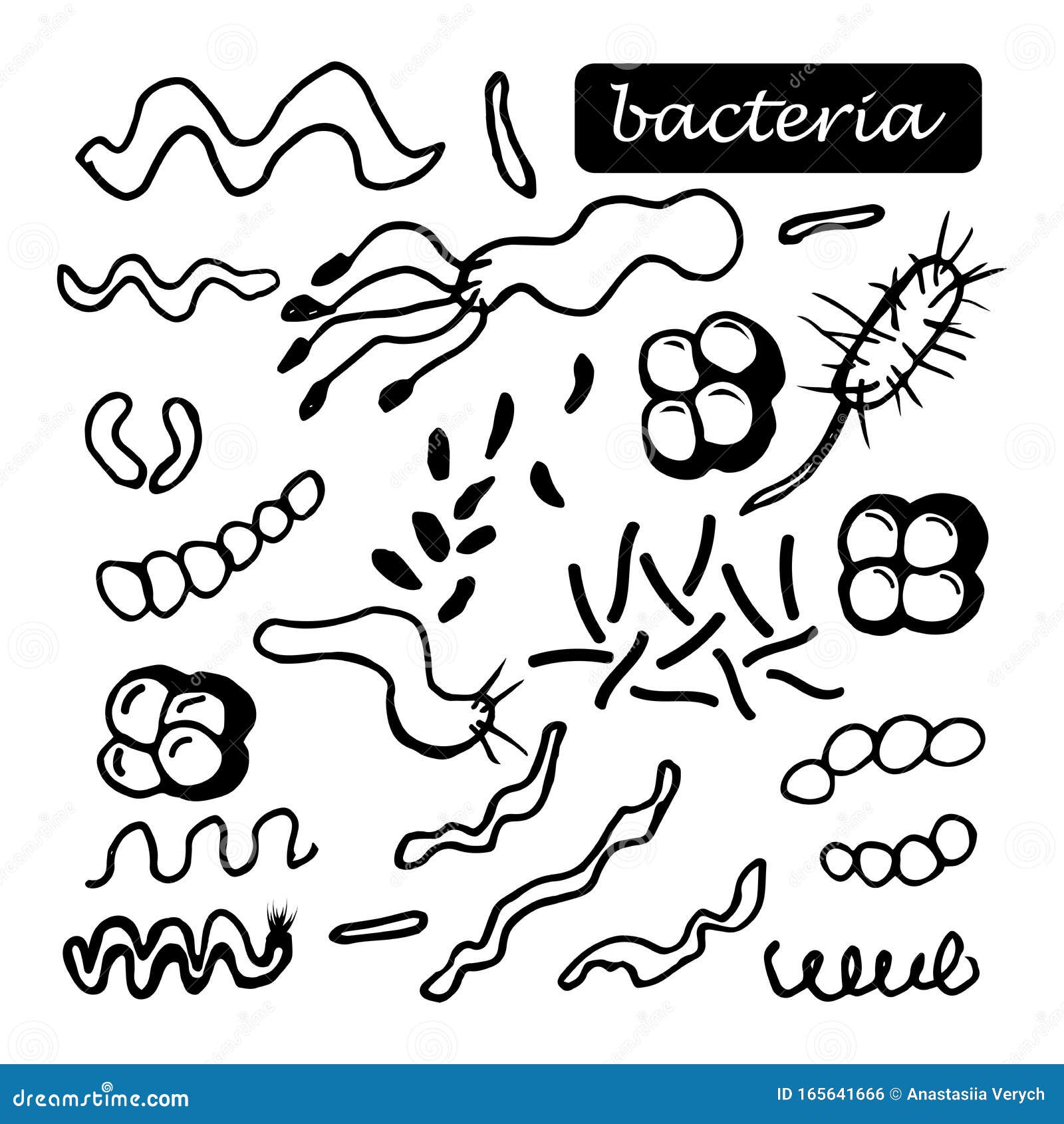 Bacteria and Germs Doodle Set, Microorganisms Disease Causing Objects ...
