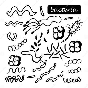 Bacteria and Germs Doodle Set, Microorganisms Disease Causing Objects ...