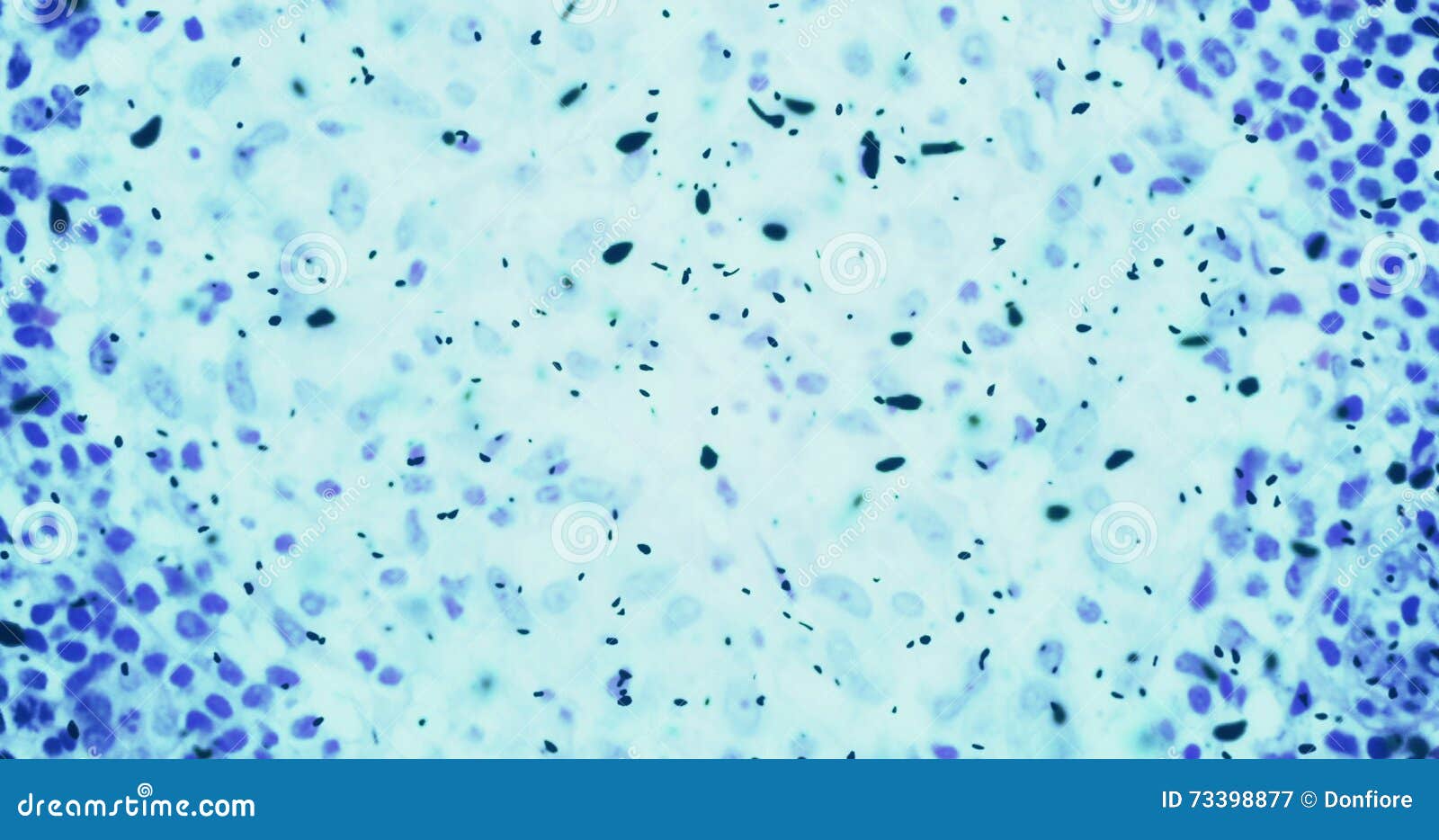 3,732 Fluid Bacteria Stock Photos - Free & Royalty-Free Stock Photos ...