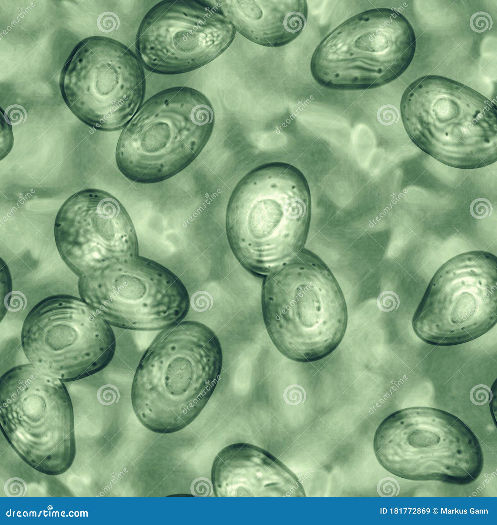 Bacteria and Germs Seamless Texture Stock Illustration - Illustration ...