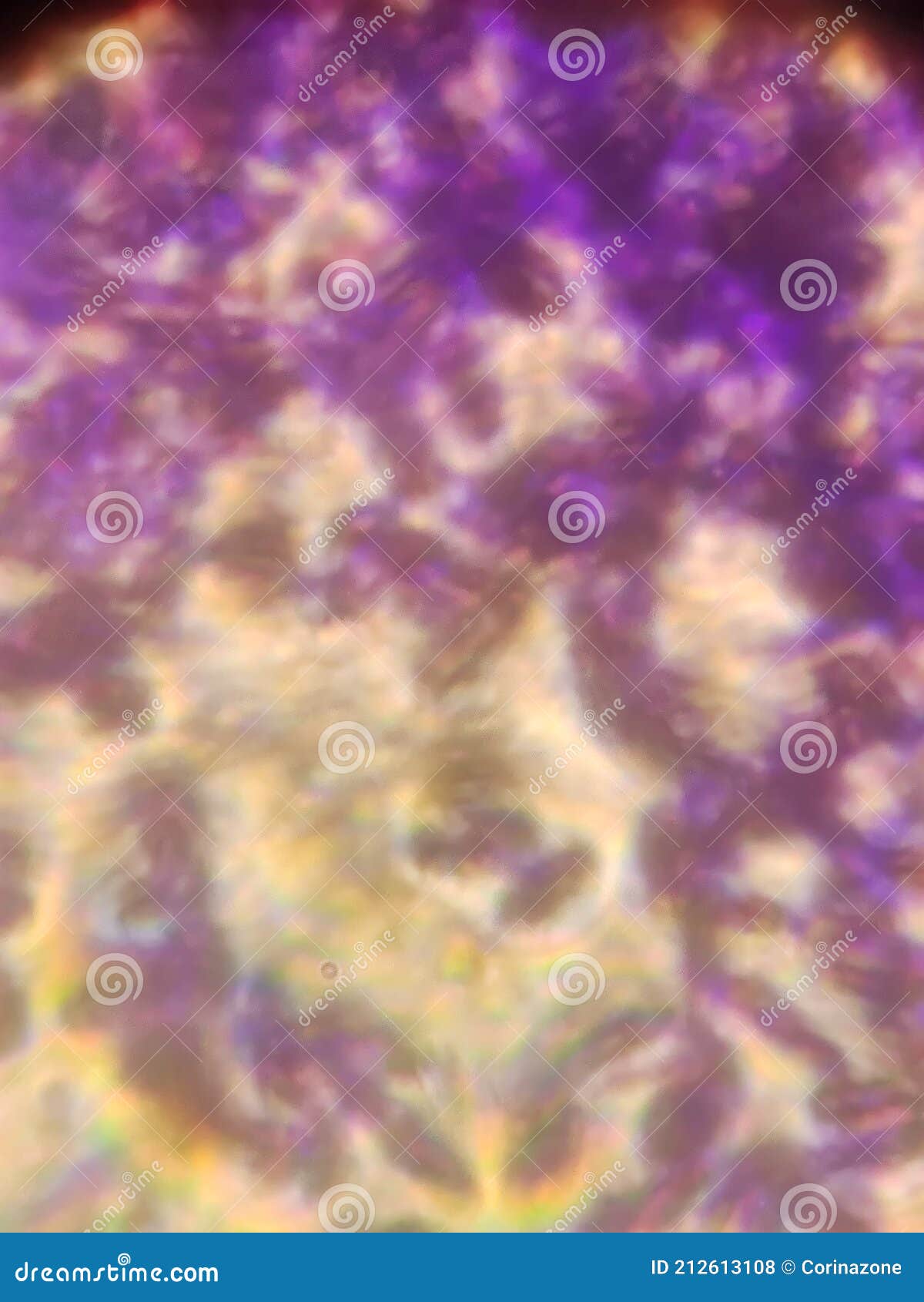 Bacteria Growing on Decaying Beet Stock Photo - Image of science, beta ...