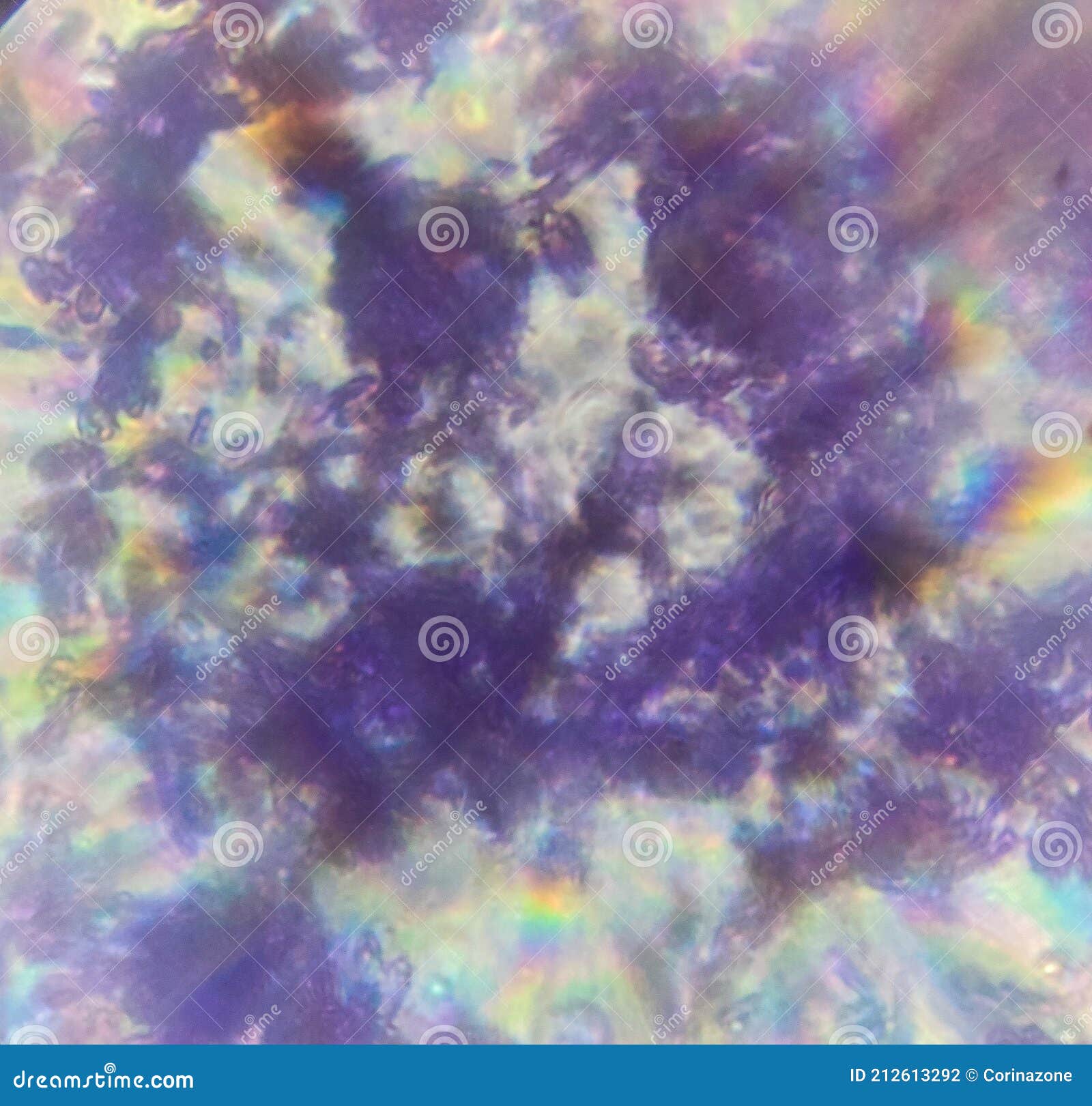 Bacteria Growing on Decaying Beet Stock Photo - Image of microbiology ...