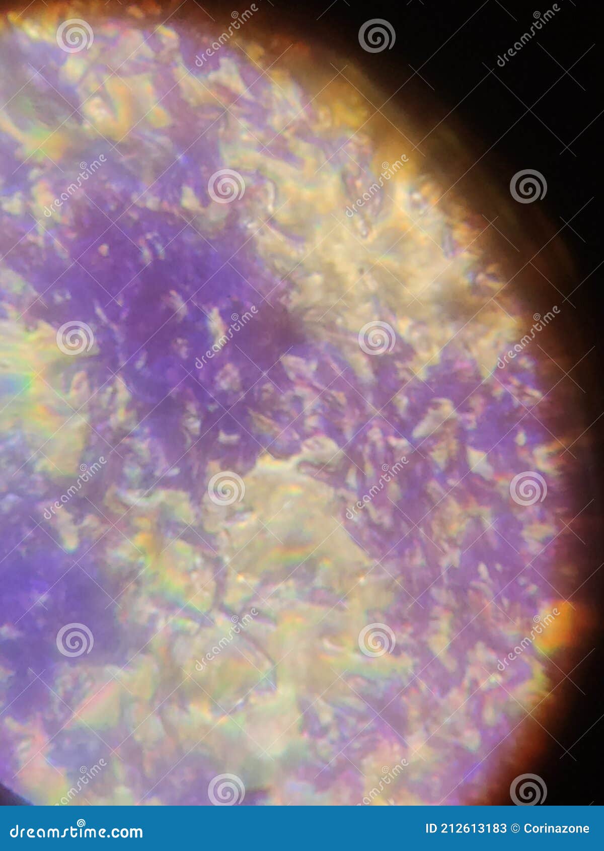 Bacteria Growing on Decaying Beet Stock Image - Image of bacteria ...