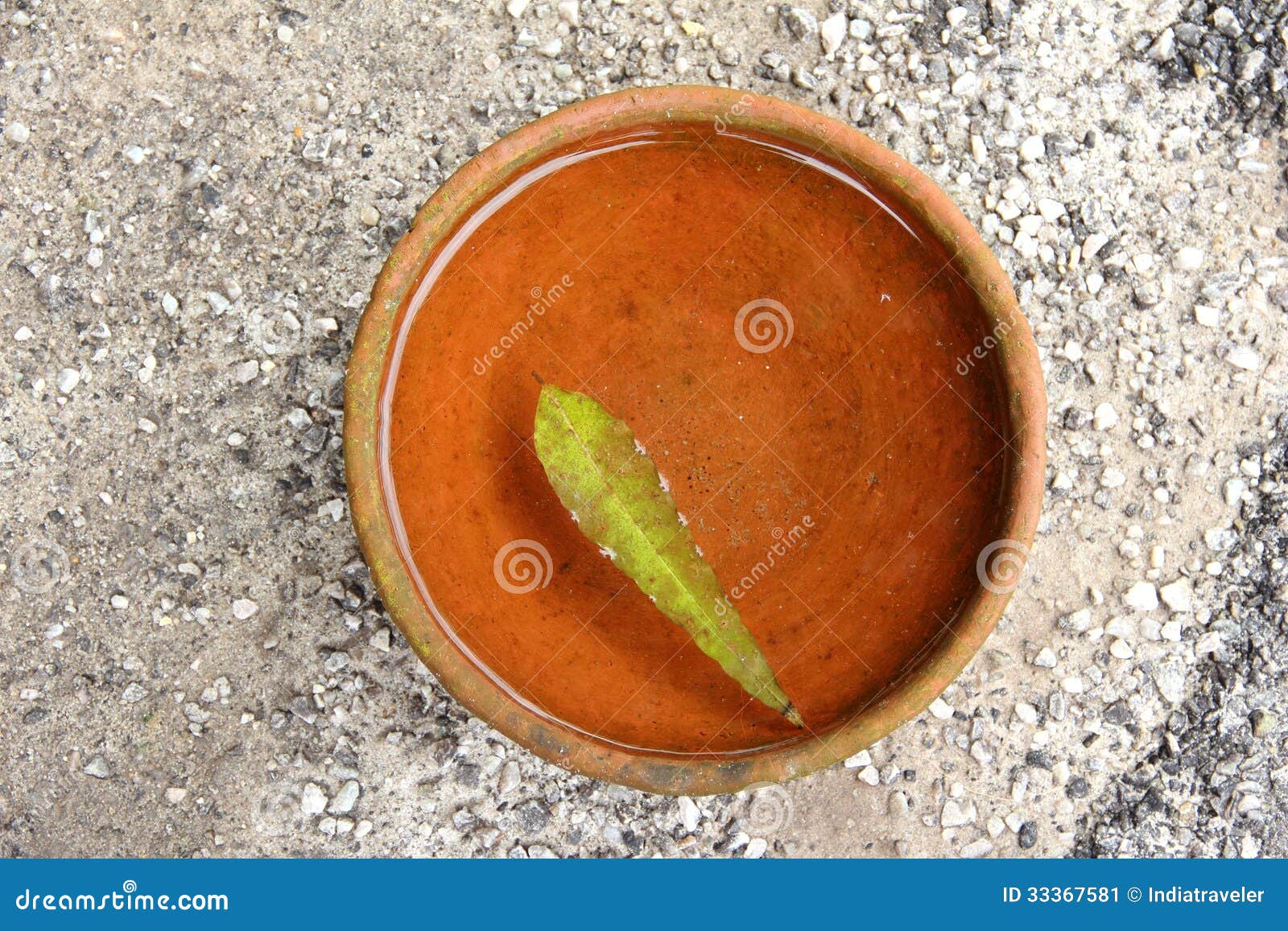 Bacteria Growing on a Leaf. Stock Image - Image of plant, background ...