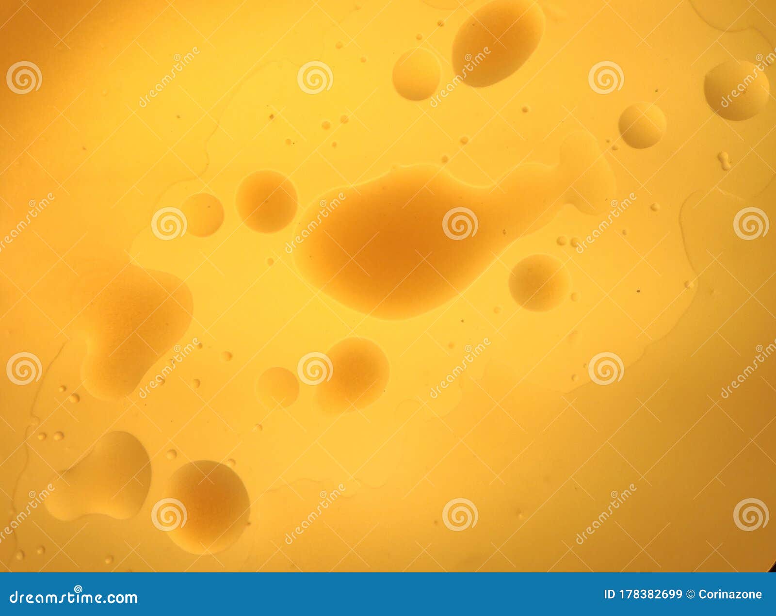 Microscopy of Bacterial Colonies Stock Image - Image of optical, colony ...