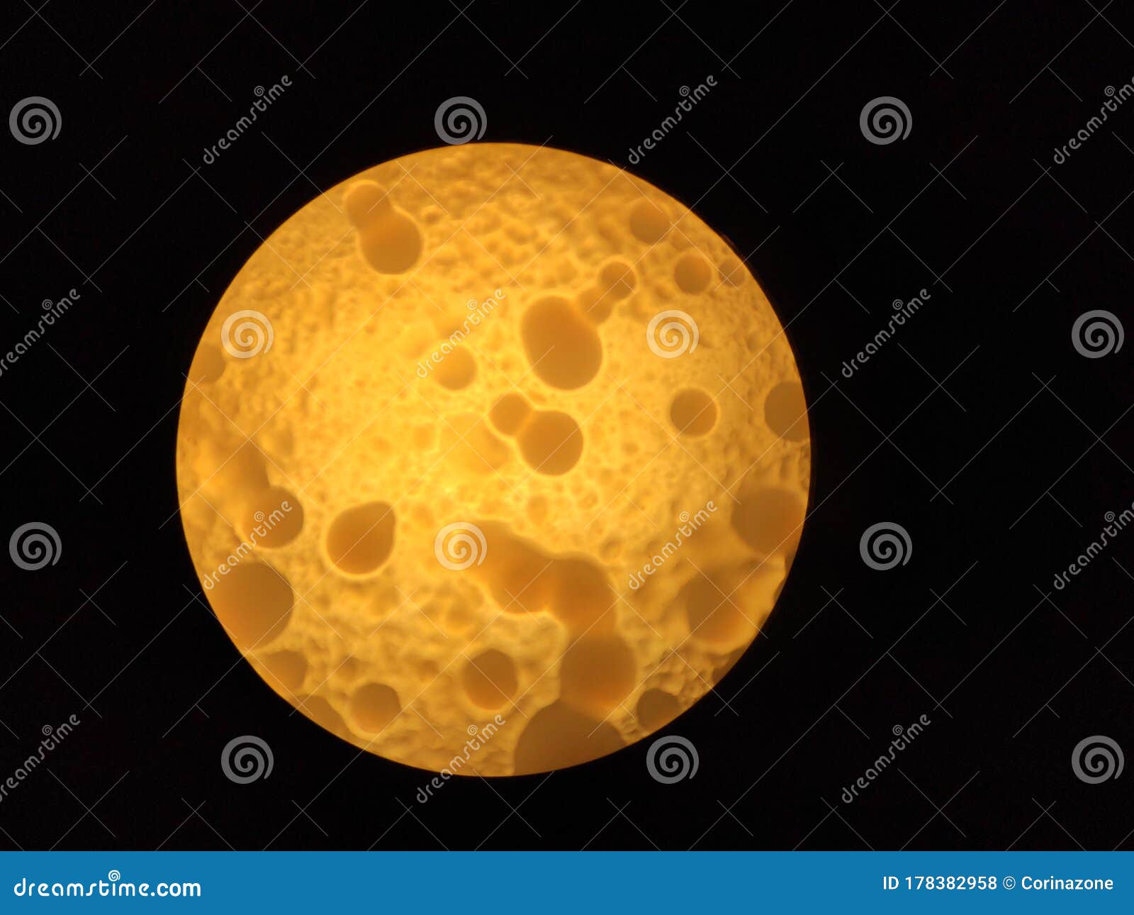 Microscopy of a Smooth Round Bacterial Colonies Stock Photo - Image of ...