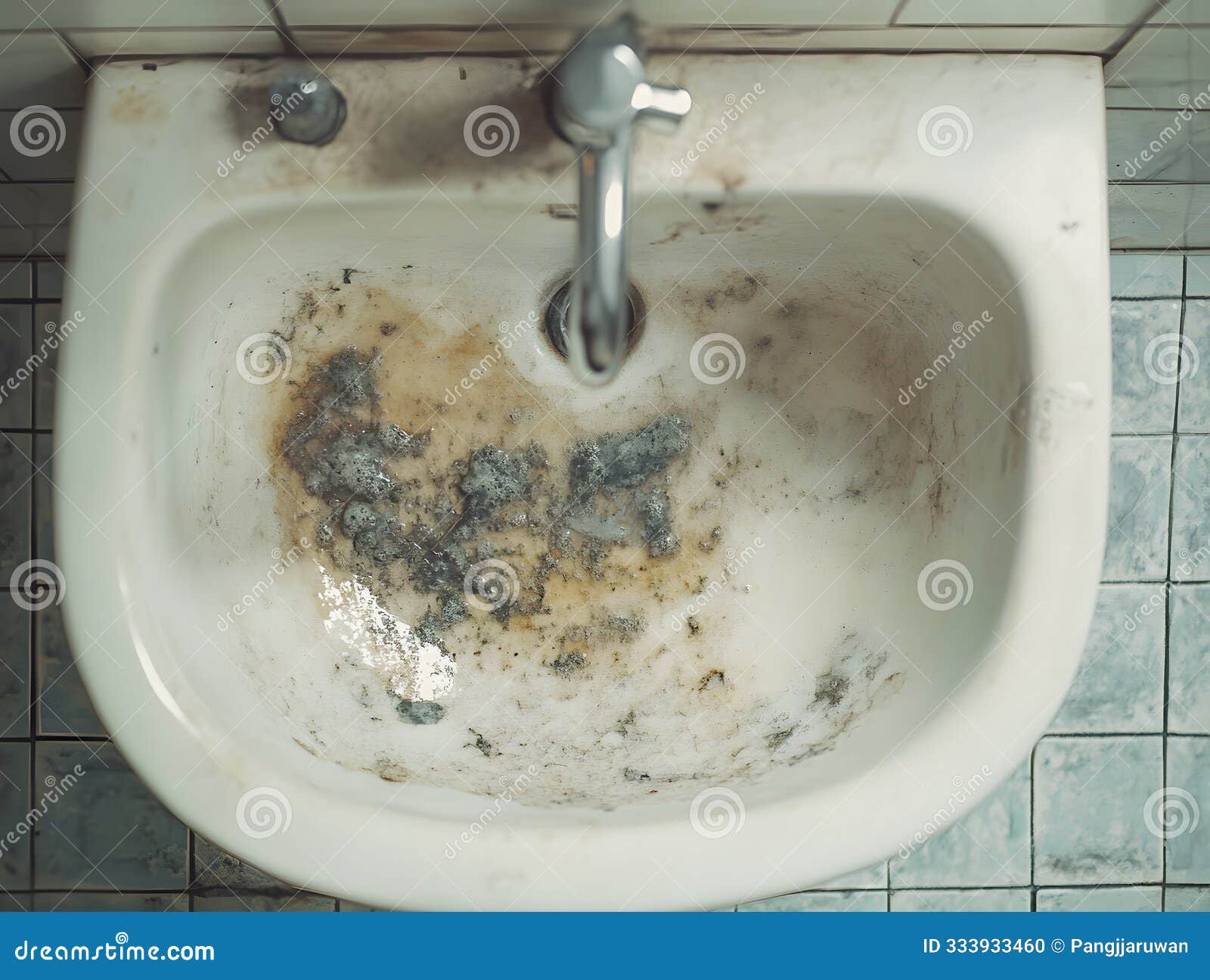 Bacteria Growing on the Surface of the Bathroom Pathogens, Bathroom ...