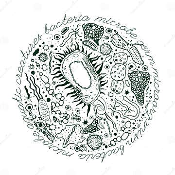 Bacteria hand-drawn image stock vector. Illustration of micro - 123687616