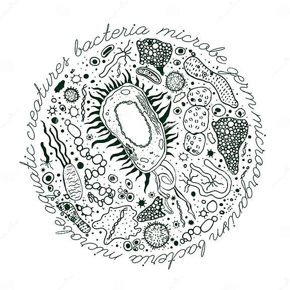 Bacteria hand-drawn image stock vector. Illustration of micro - 123687616