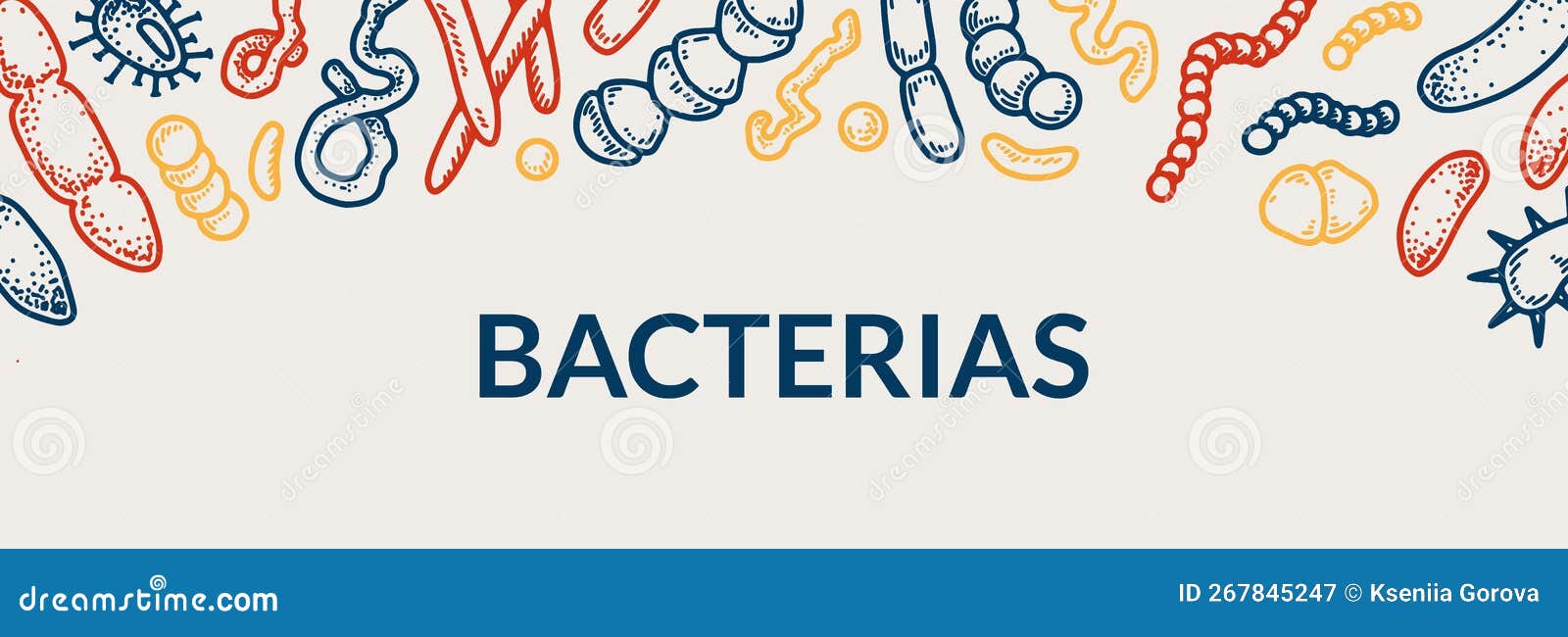 Bacteria Horizontal Web Banner. Microscopic Viruses, Microorganism And ...