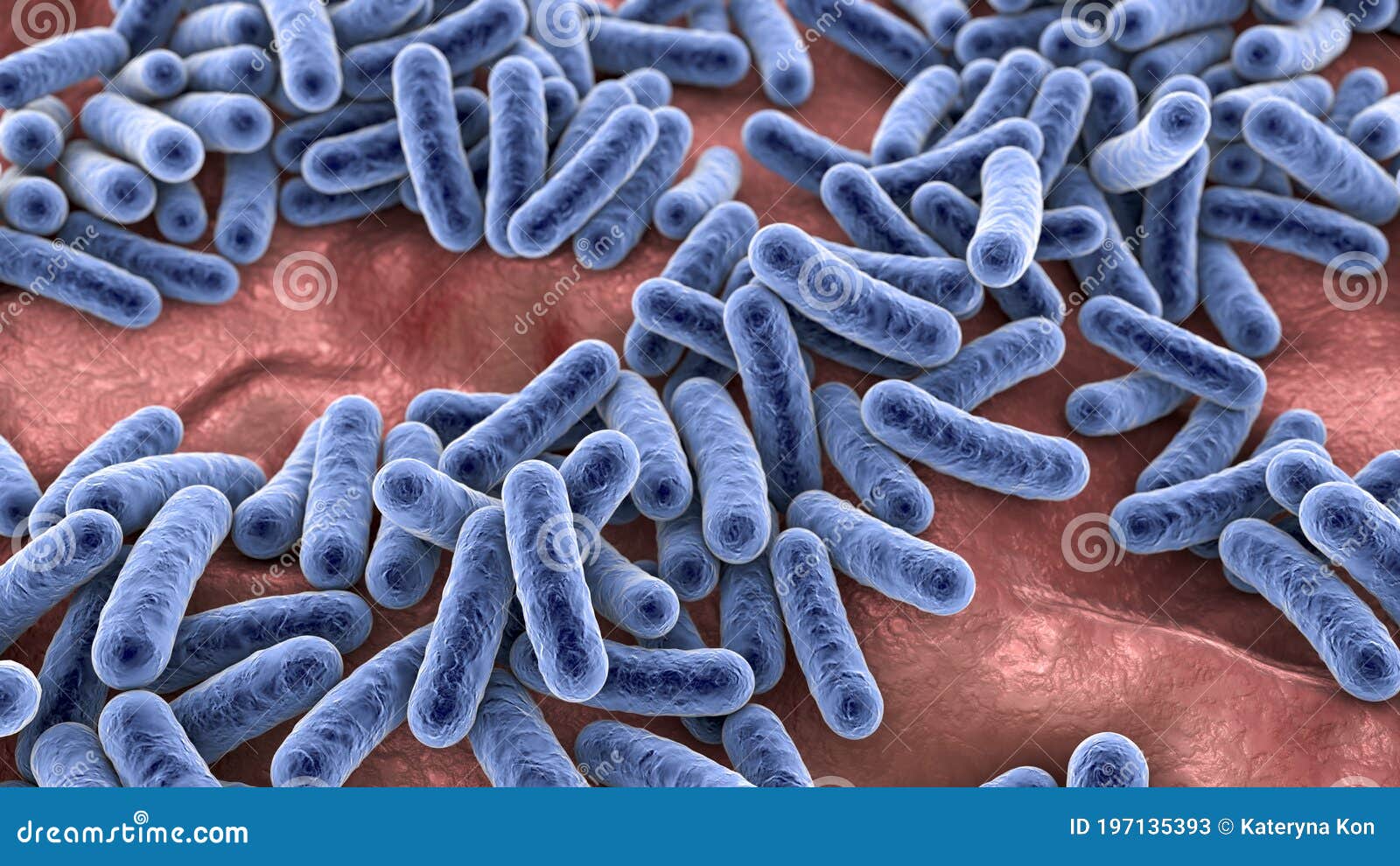 Bacteria, human microbiome stock illustration. Illustration of ...