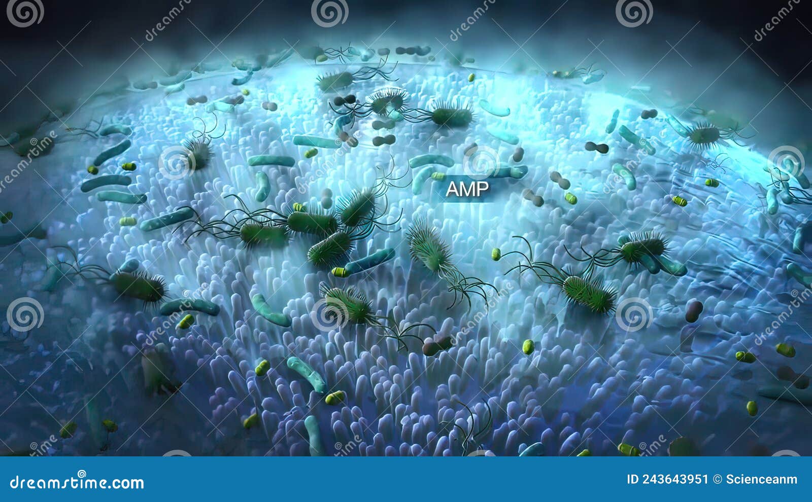 Bacteria in the Immune System Stock Illustration - Illustration of ...