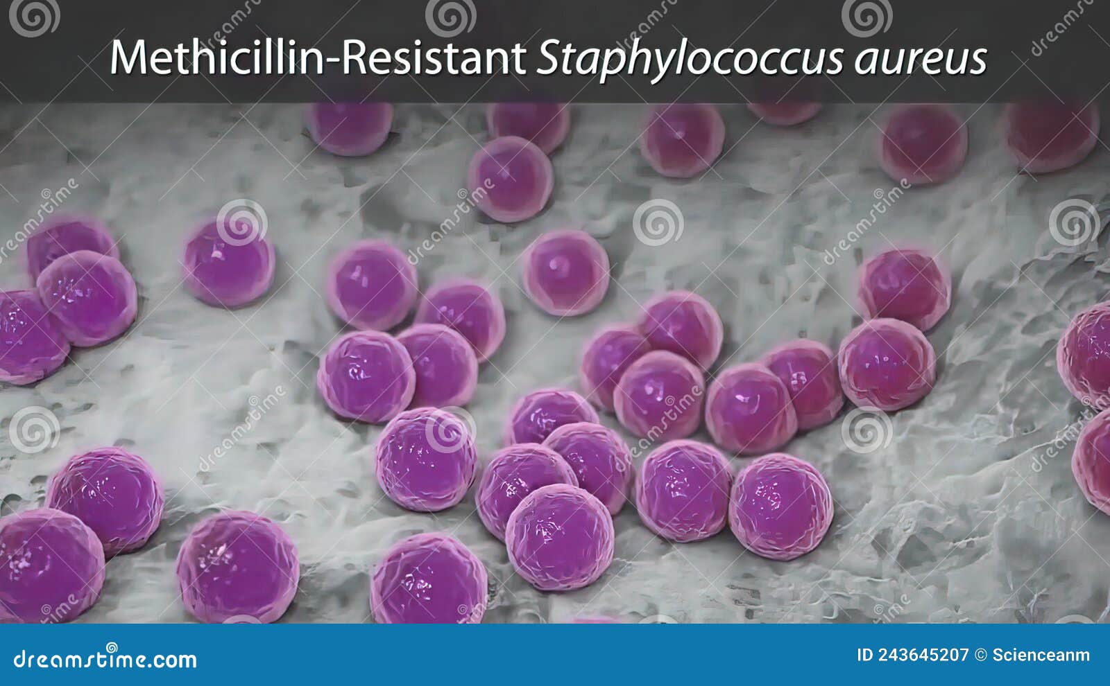 Bacteria Infecting the Body Stock Illustration - Illustration of bowel ...