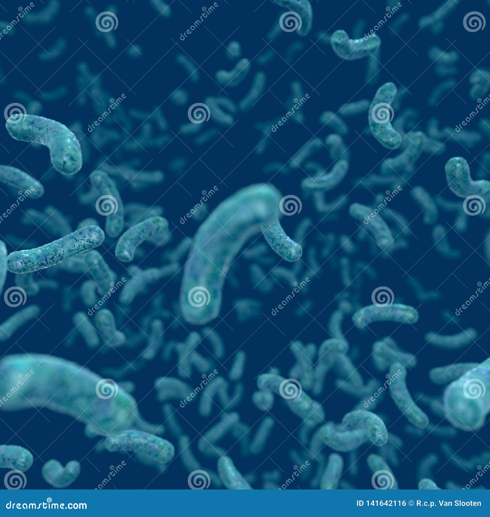 Bacteria Infection, Bacteria Floating in Fluid Environment Stock ...