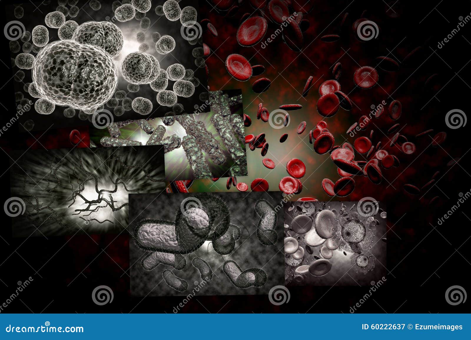 Bacteria Infection Collage Stock Image | CartoonDealer.com #60222637