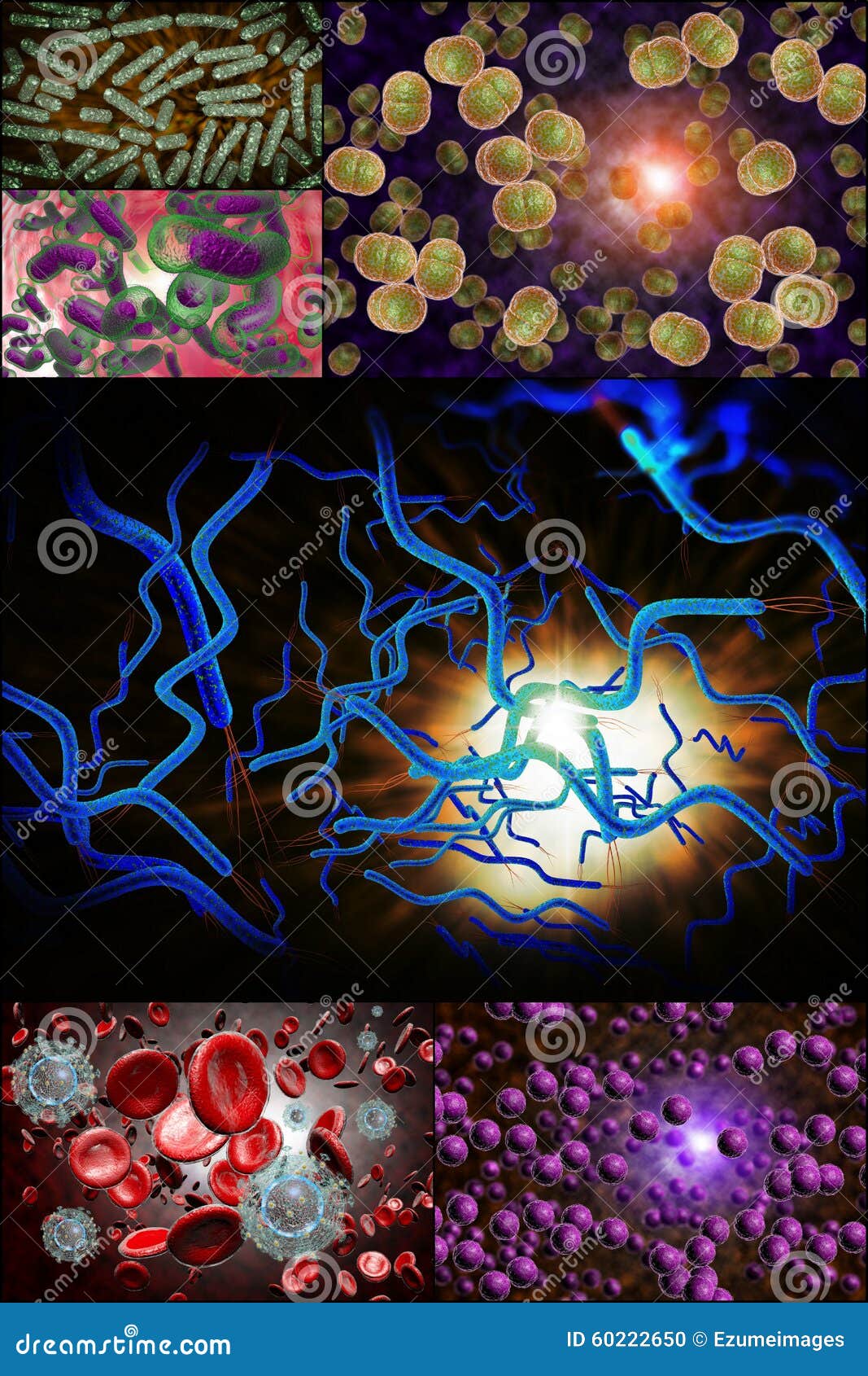Bacteria Infection Collage stock illustration. Illustration of cholera ...