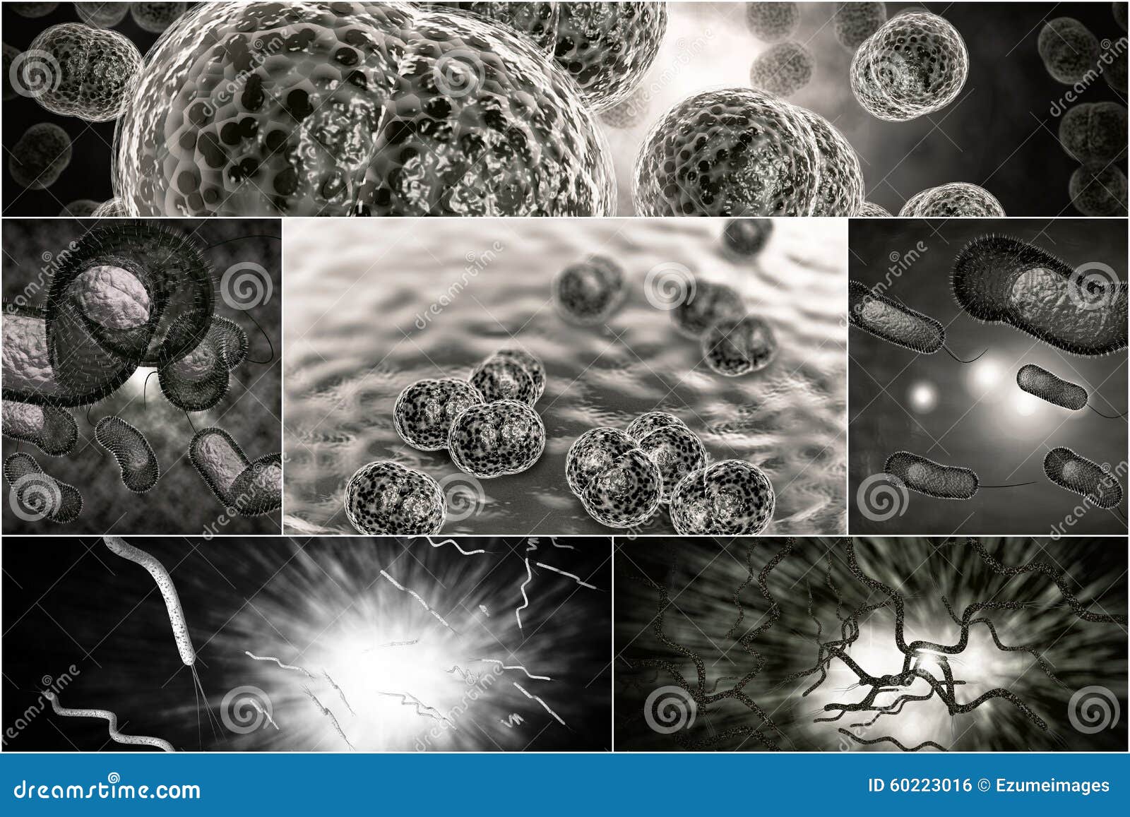Bacteria Infection Collage stock illustration. Illustration of ...