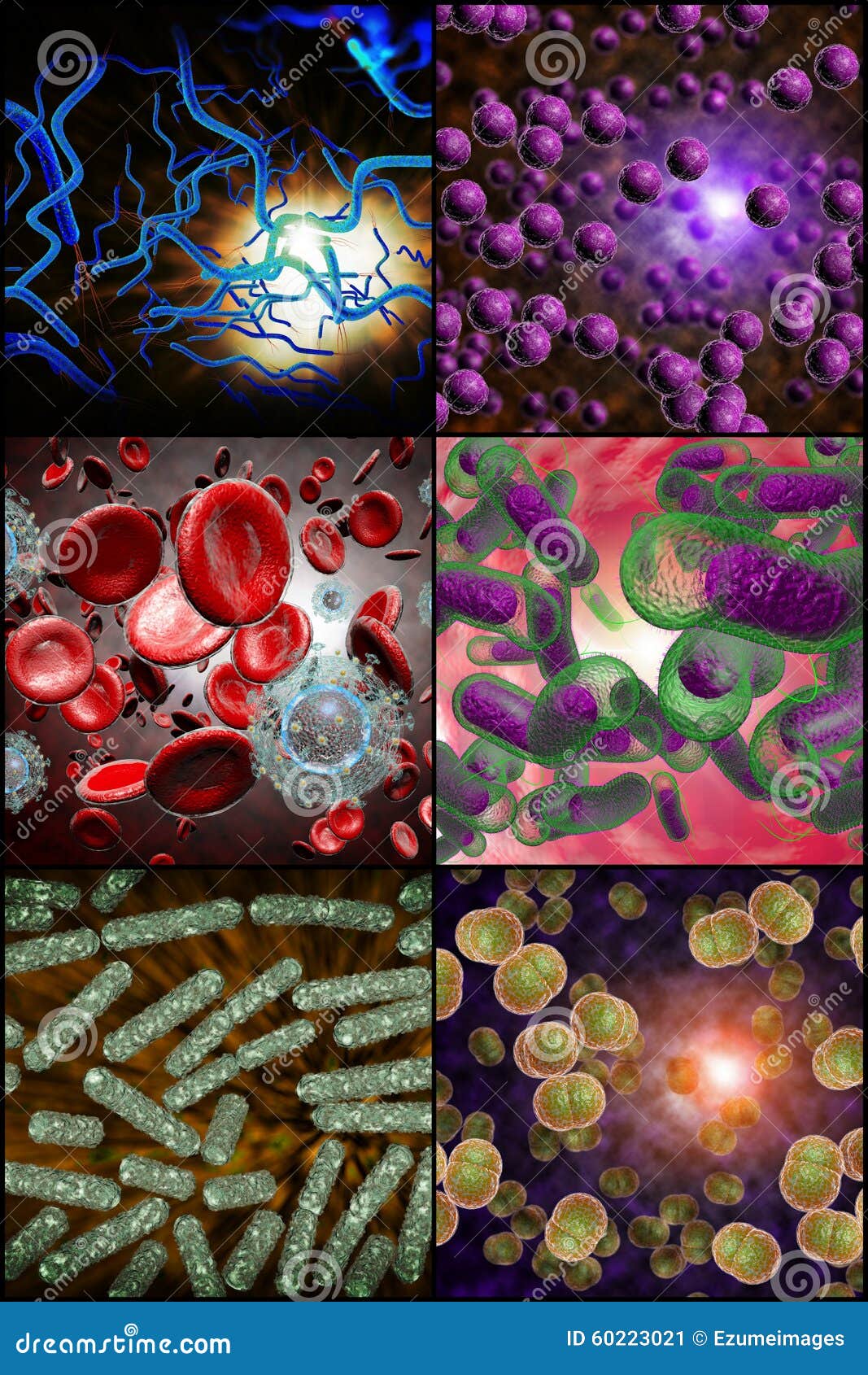 Bacteria Infection Collage stock illustration. Illustration of ...