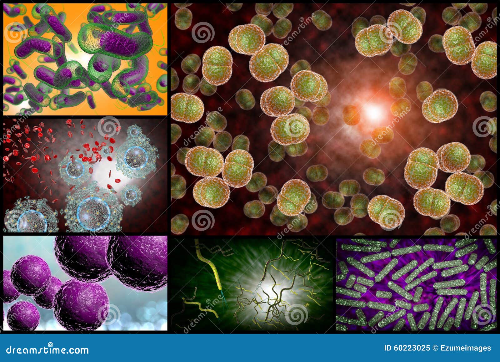 Bacteria Infection Collage stock illustration. Illustration of disease ...