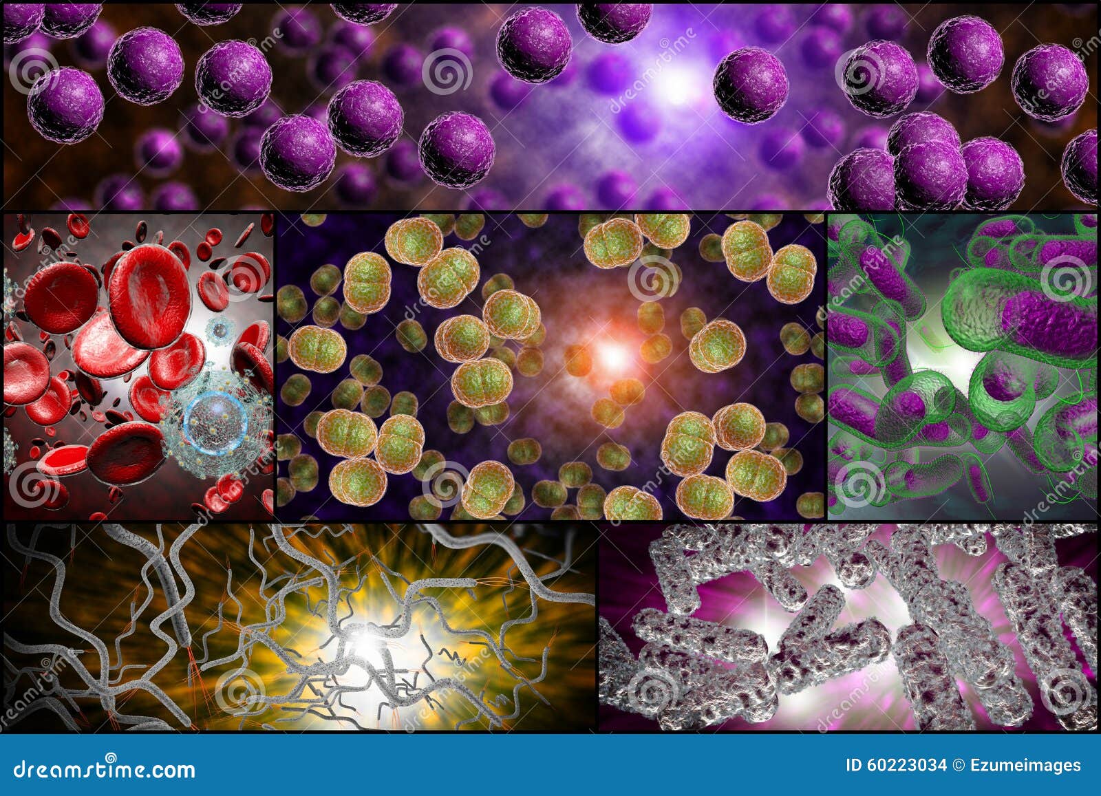 Bacteria Infection Collage stock illustration. Illustration of ...