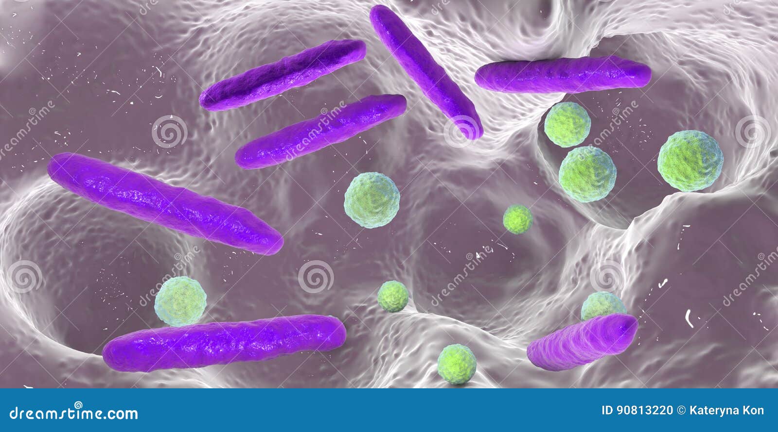 Bacteria Inside Dental Cavity Stock Illustration - Illustration of ...