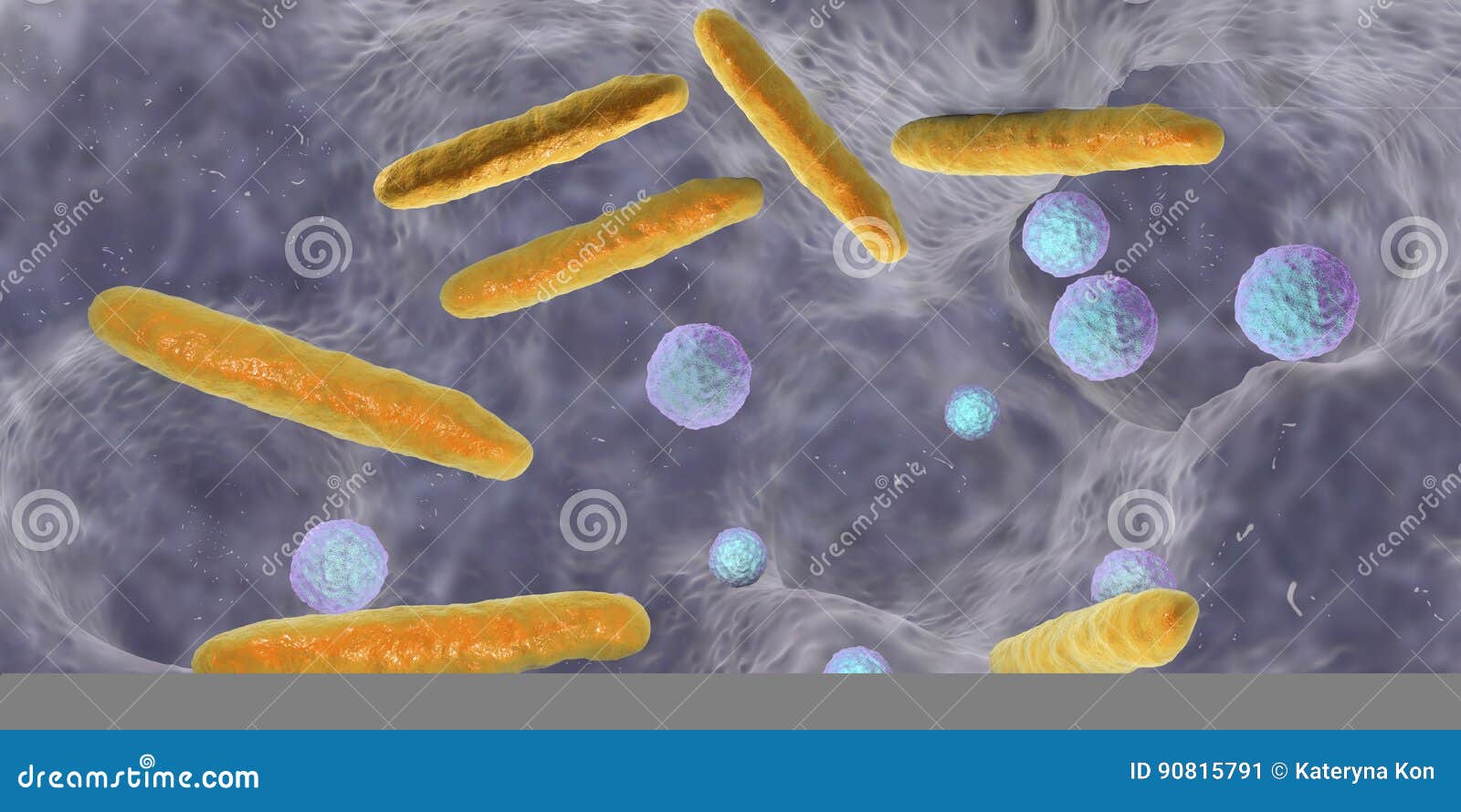 Bacteria Inside Dental Cavity Stock Illustration - Illustration of ...