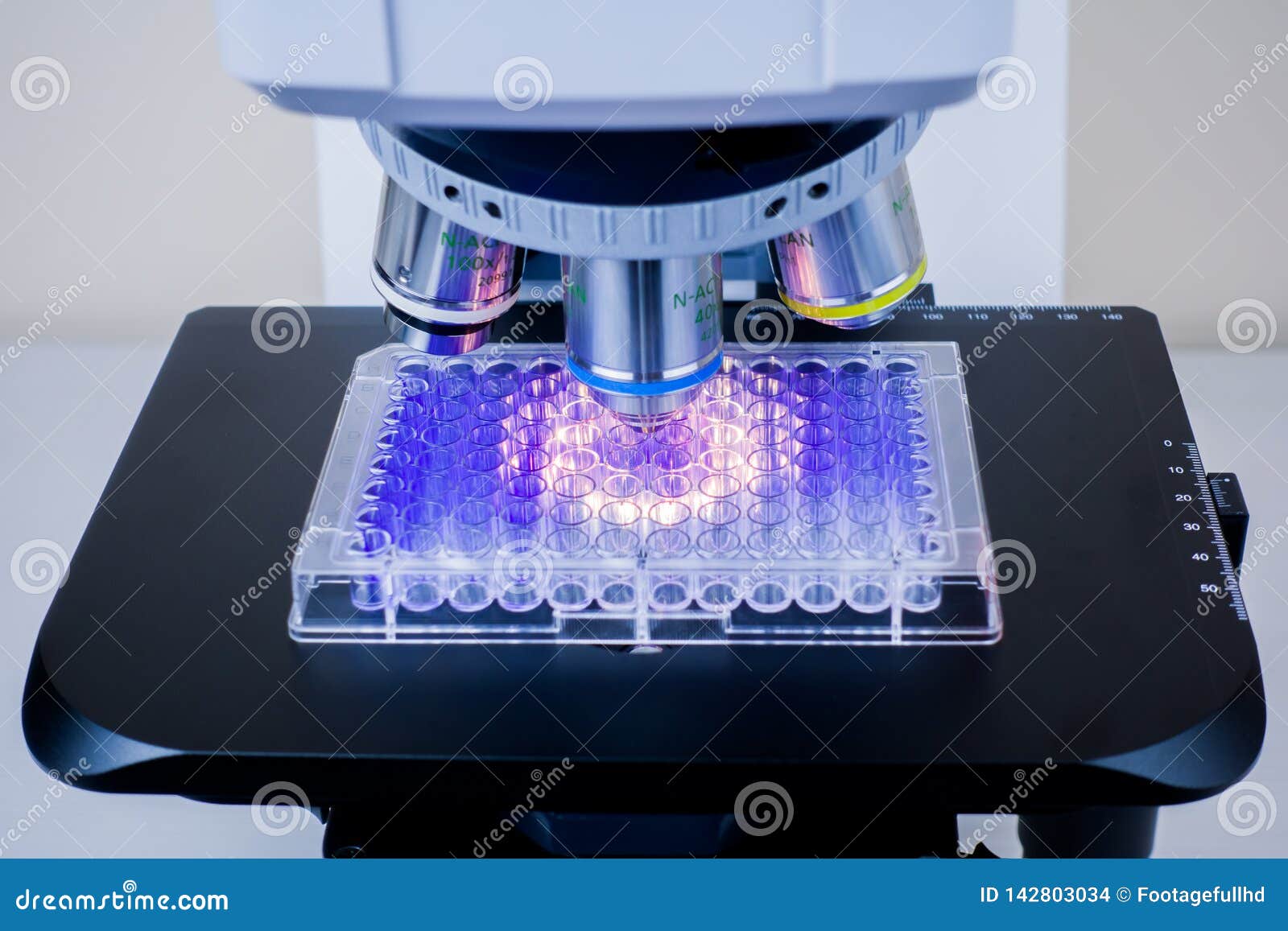 Bacteria In A Medical Plate Under A Microscope. Royalty-Free Stock ...