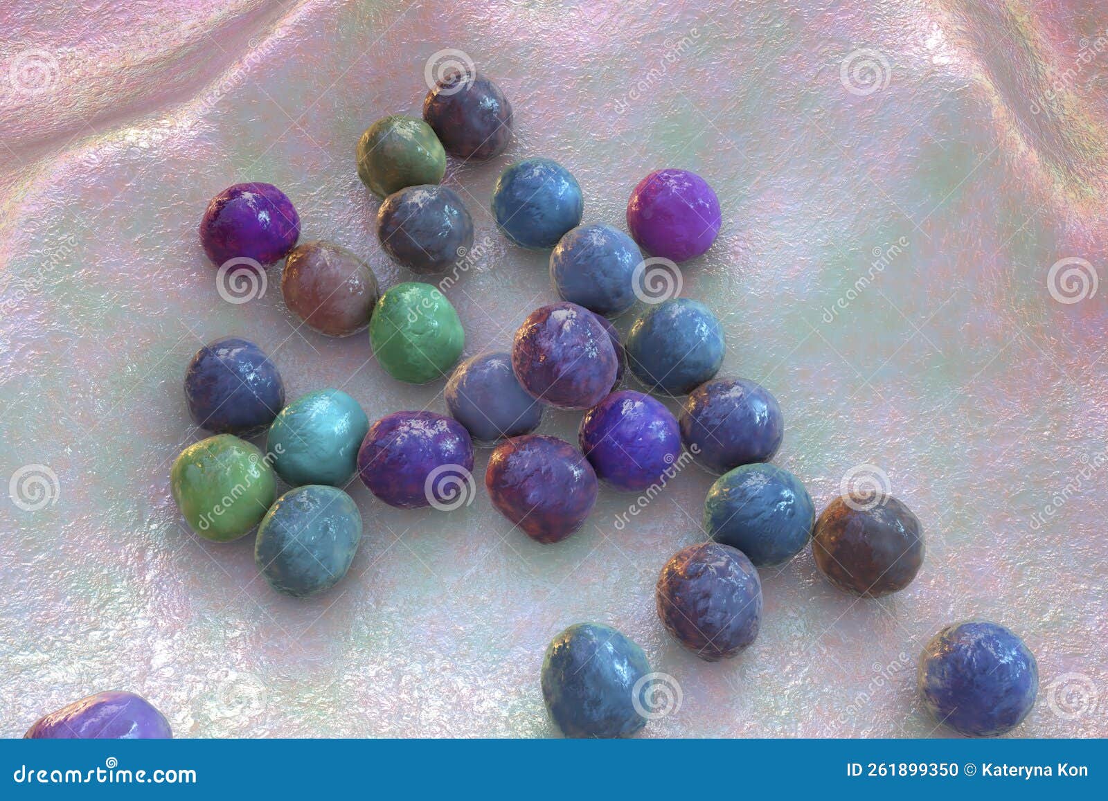 Bacteria Methicillin-resistant Staphylococcus Aureus MRSA Stock ...