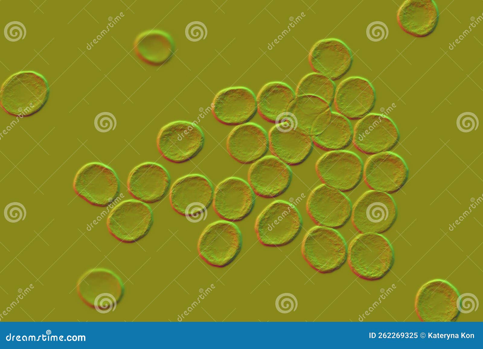 Bacteria Methicillin-resistant Staphylococcus Aureus MRSA Stock ...