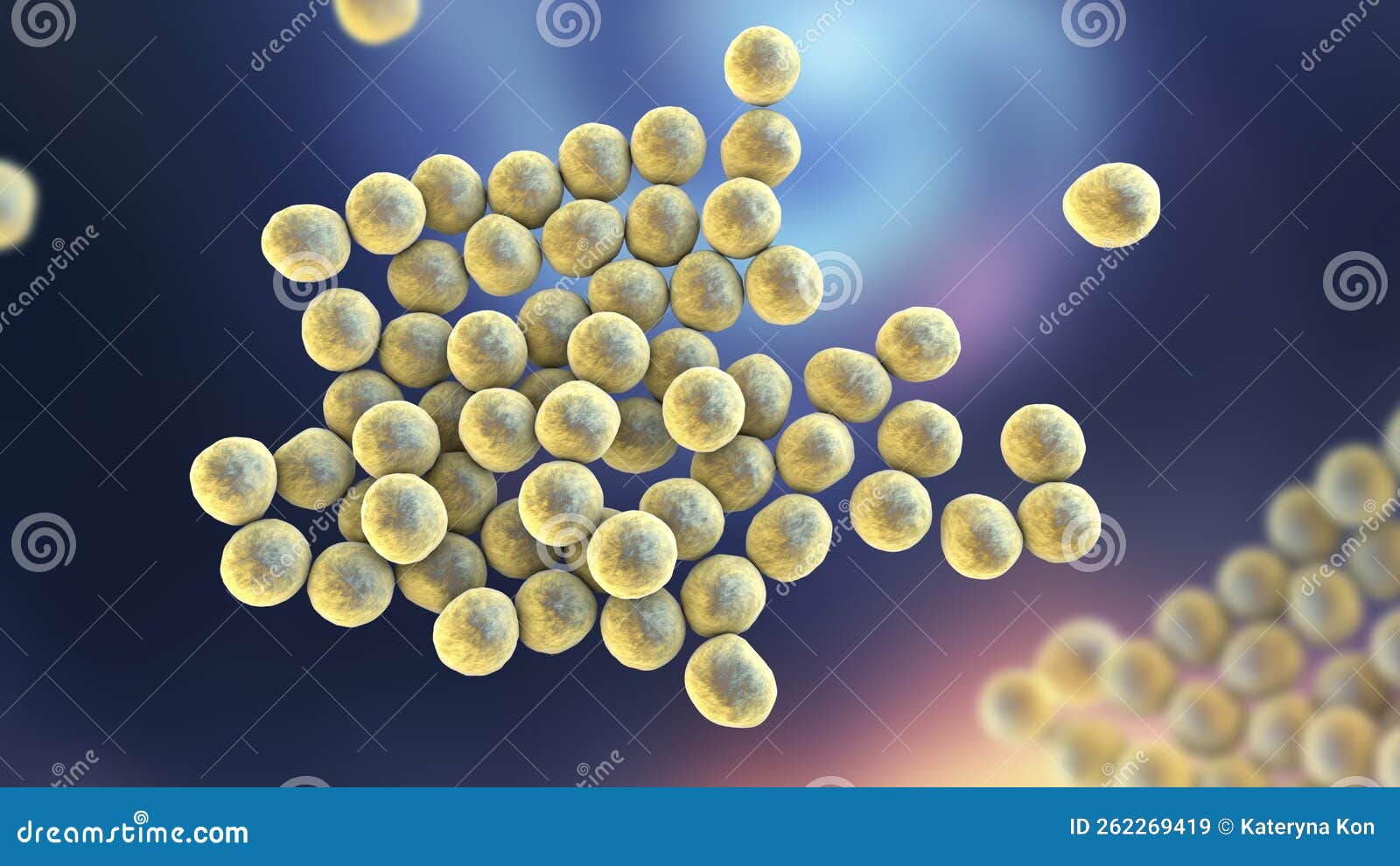 Bacteria Methicillin-resistant Staphylococcus Aureus MRSA Royalty-Free ...