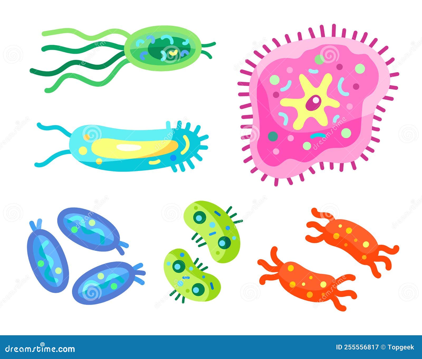 Bacteria Micro Creatures Set Vector Illustration Stock Vector ...