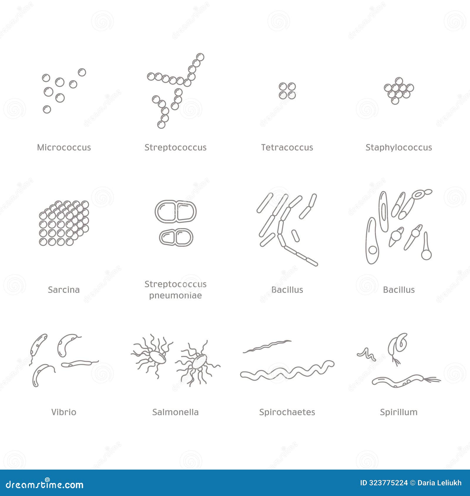 Bacteria, Microbe Vector Line Icons Set. Bacterial Cell Structure. Cell ...