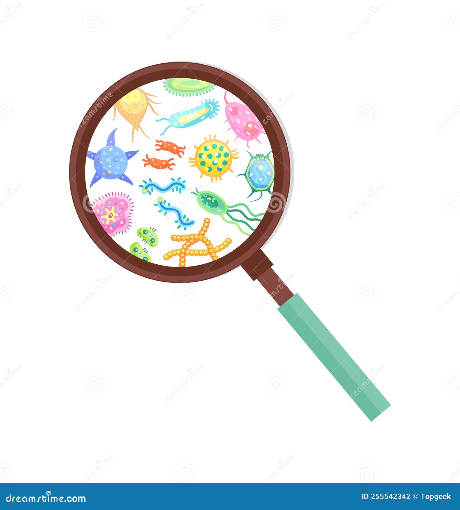 Germ Microscopic Life Creatures Zoomed with Loupe Stock Vector ...