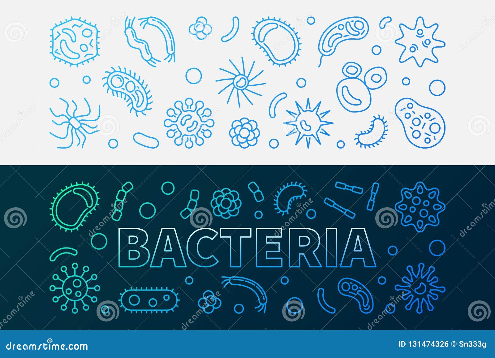 Bacteria Microbiology Outline Colorful Vector Frame | CartoonDealer.com ...
