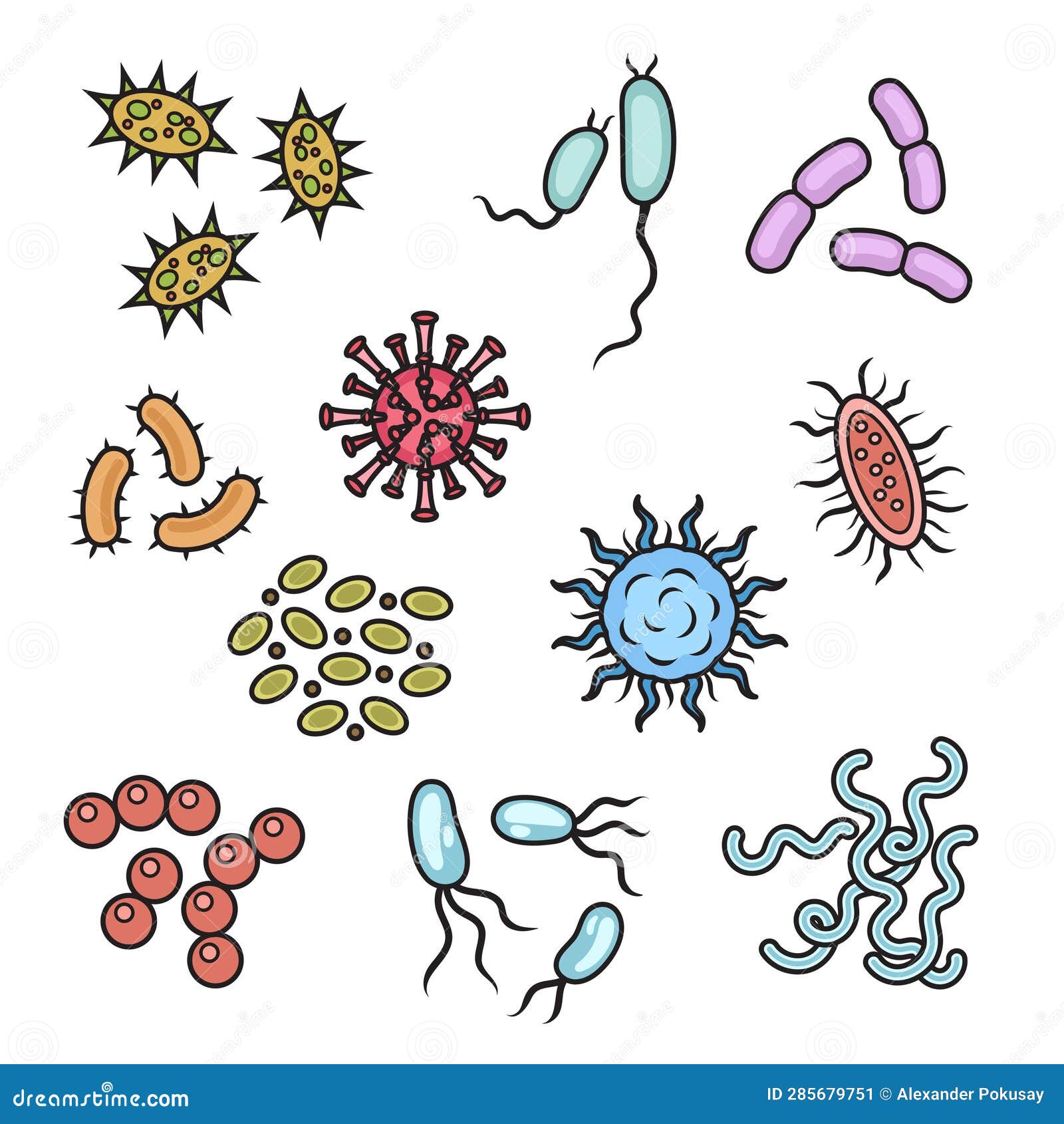 Bacteria Microorganisms Diagram Medical Science Stock Illustration ...