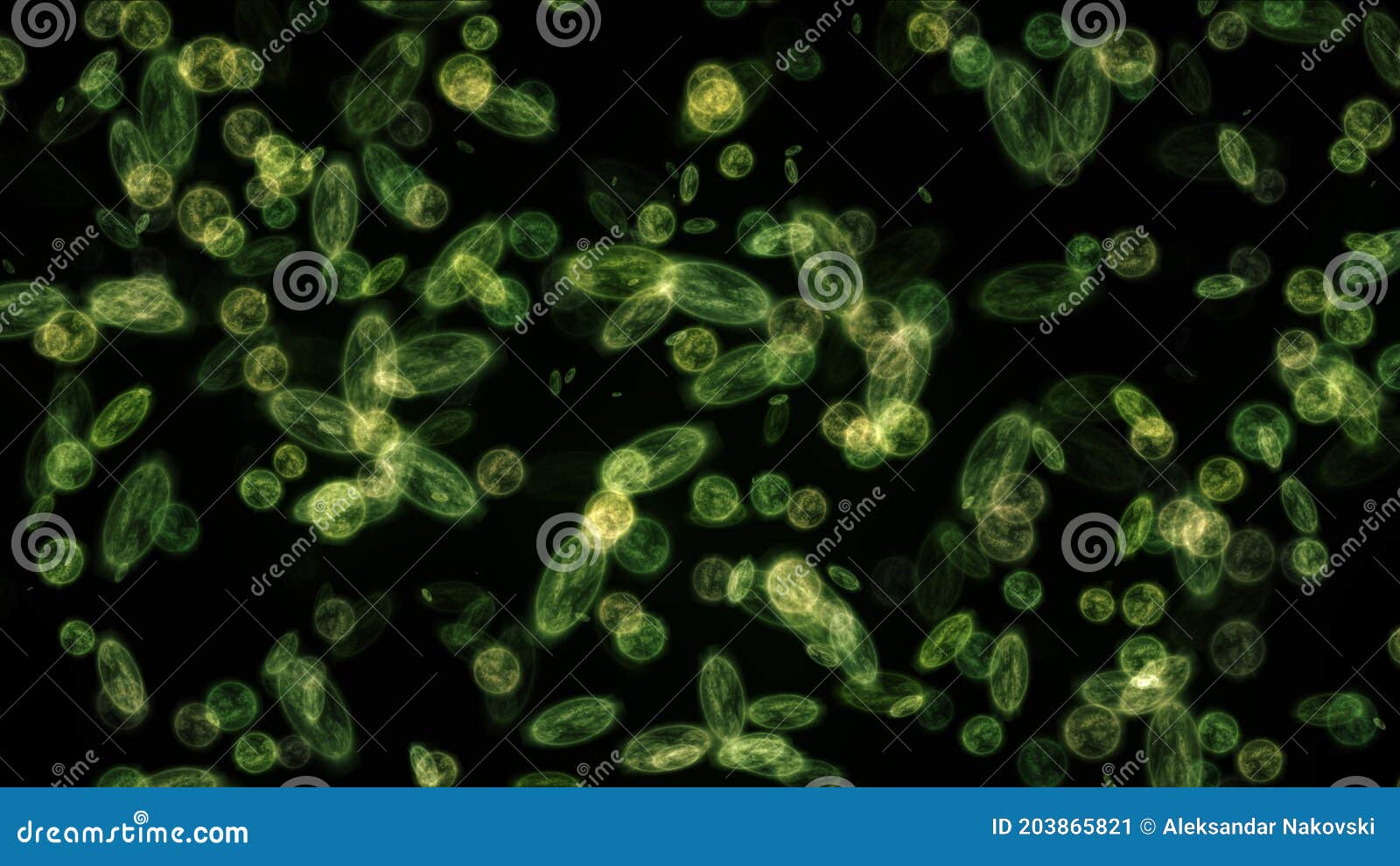 Bacteria Microorganisms Microscope Close Up Stock Illustration ...