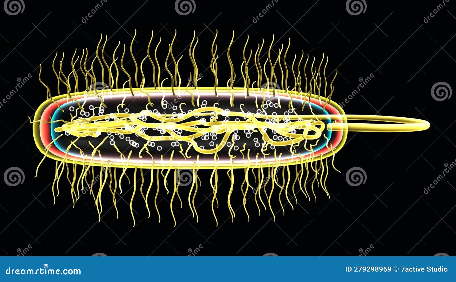 Bacteria or Microscopic Organisms Stock Illustration - Illustration of ... Bacteria or Microscopic Organisms Stock Illustration - Illustration of ...
