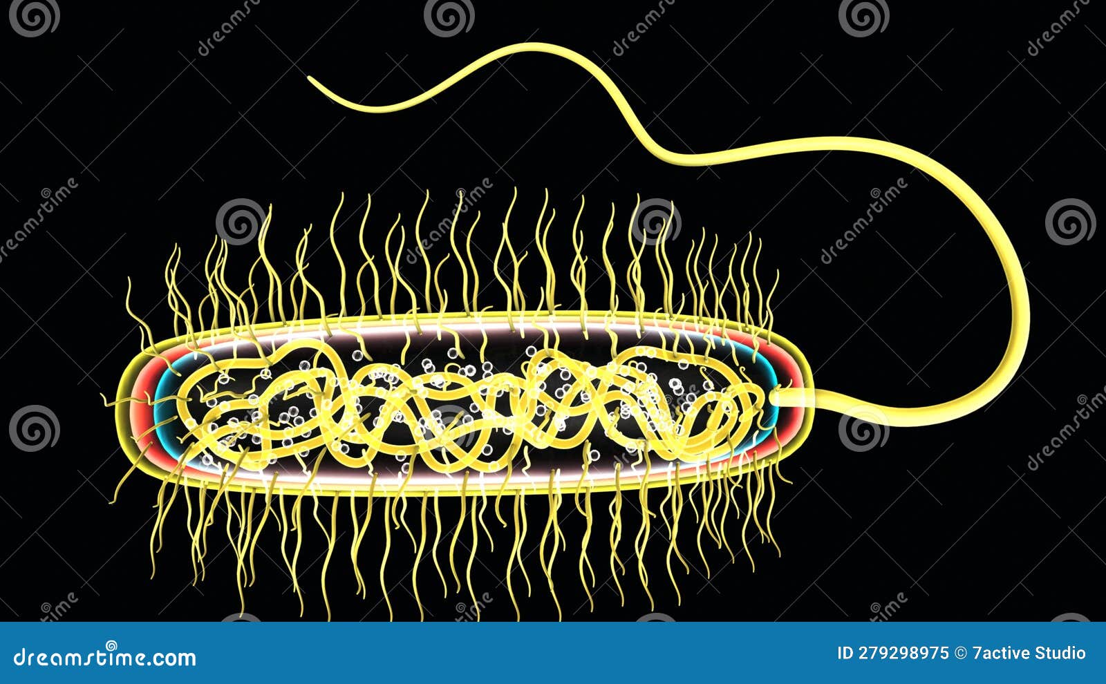 Bacteria or Microscopic Organisms Stock Illustration - Illustration of ...