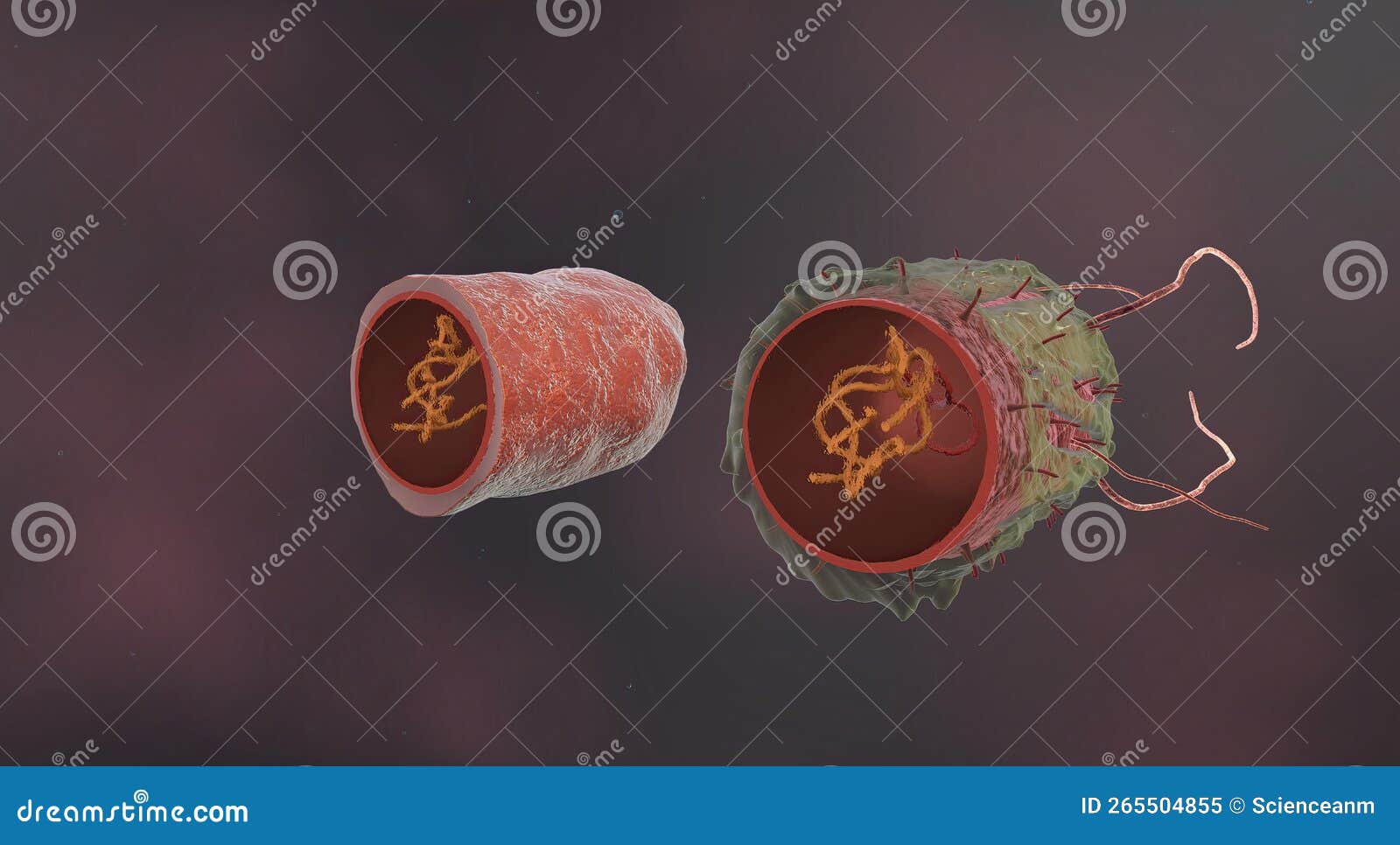 Bacteria are Small Single Celled Organisms Stock Illustration ...