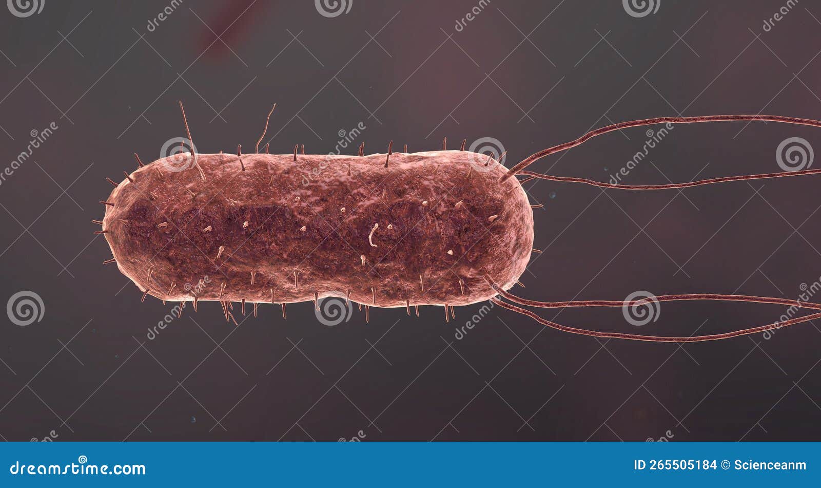 Bacteria are Small Single Celled Organisms Stock Illustration ...