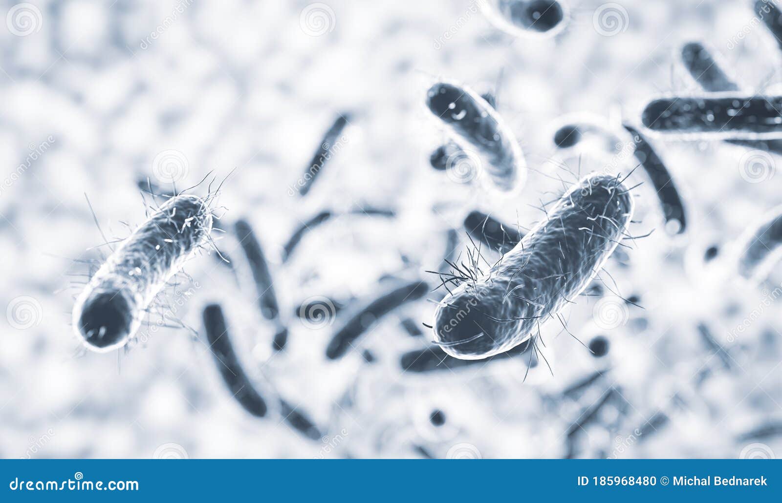 Bacteria Or Microscopic Organisms Stock Image | CartoonDealer.com ...