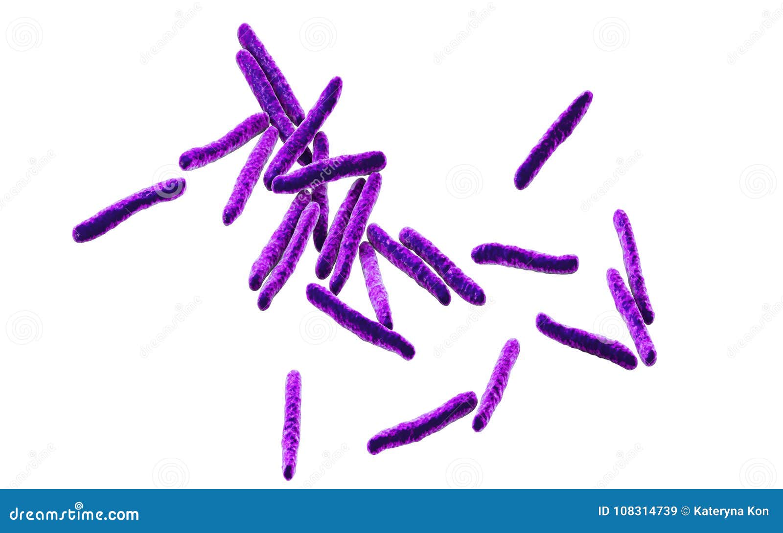 Tuberculosis. Life Cycle Of Mycobacterium Tuberculosis Vector ...