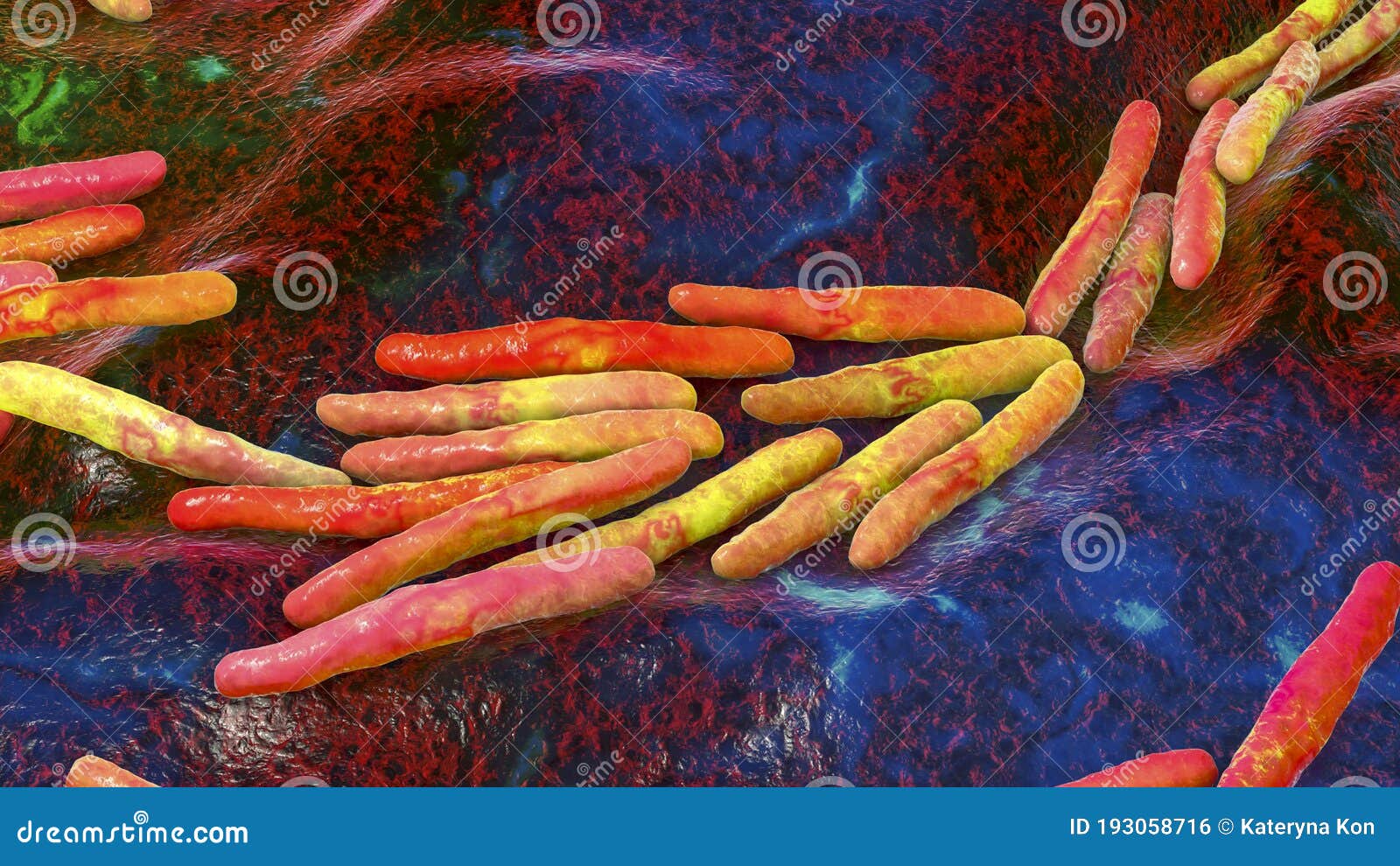 Bacteria Mycobacterium Tuberculosis Stock Illustration - Illustration ...